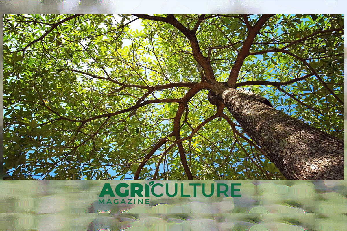 من أجل صحة جيدة ومزاج رائق - Agri Culture Magazine